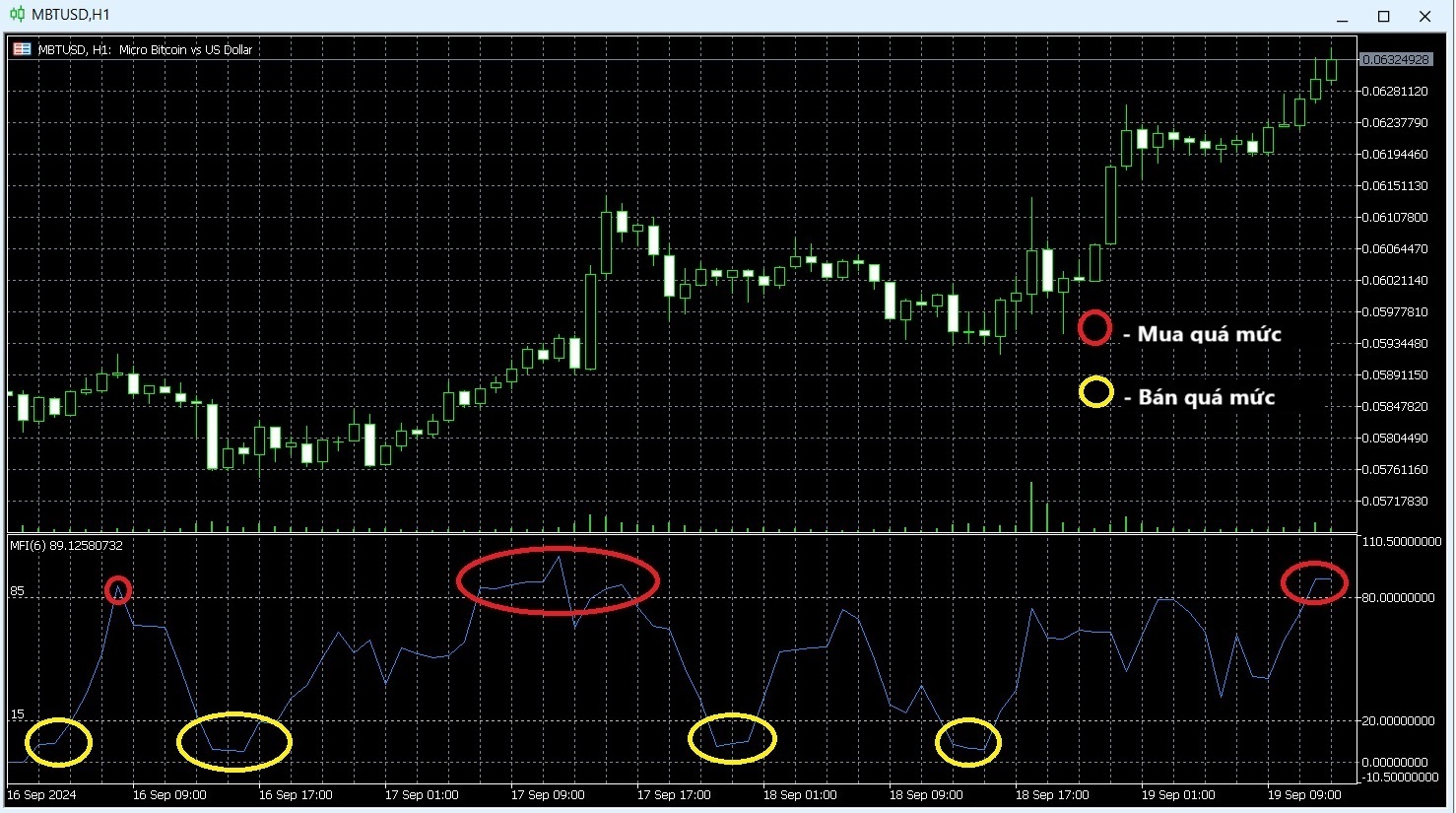Tải MT5 Exness - Hướng Dẫn Cài Đặt và Sử Dụng Exness MT5