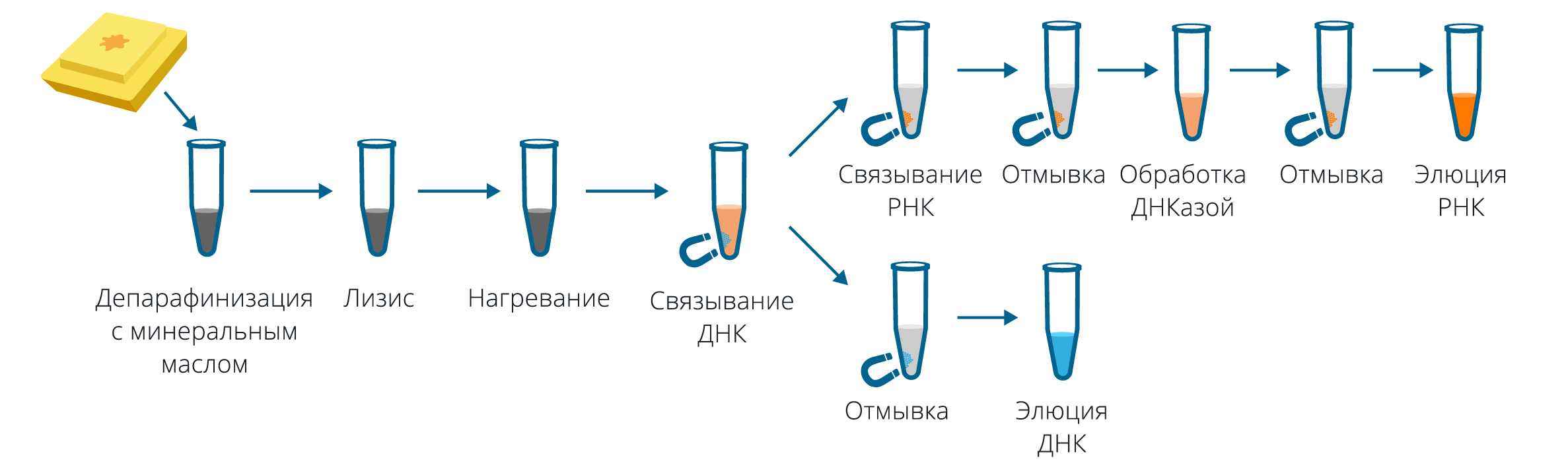 Parseq Lab - PureCode™ DNA/RNA Magnetic FFPE