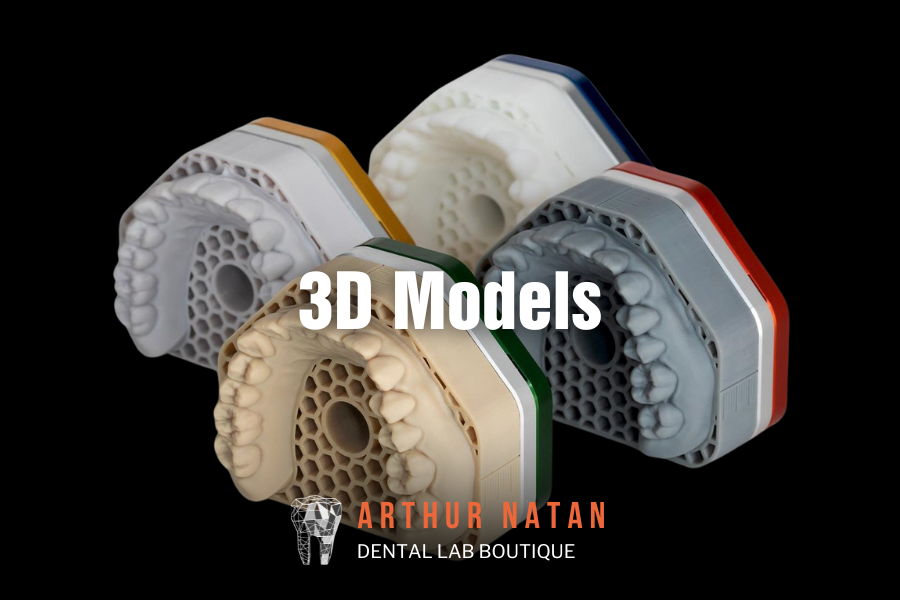 High-Quality 3D Dental Models - Arthur Natan Dental Boutique