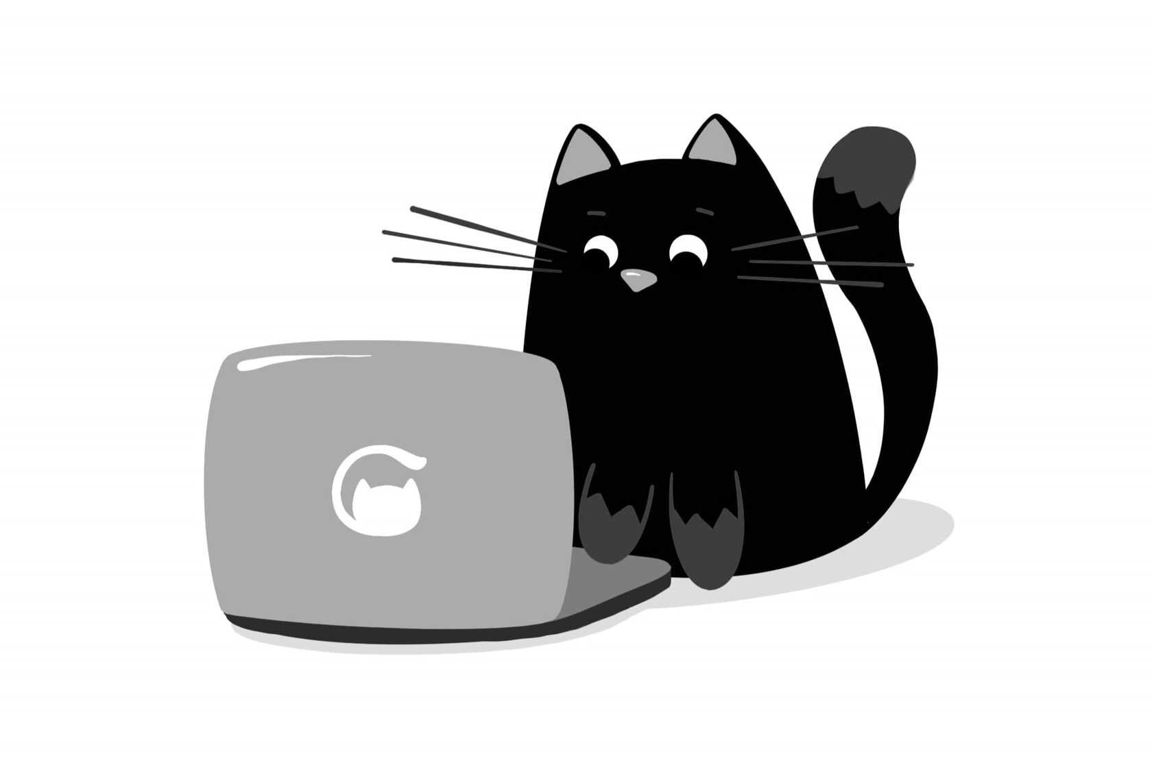 Аутсорс разработка интеграций для amoCRM – CatCode