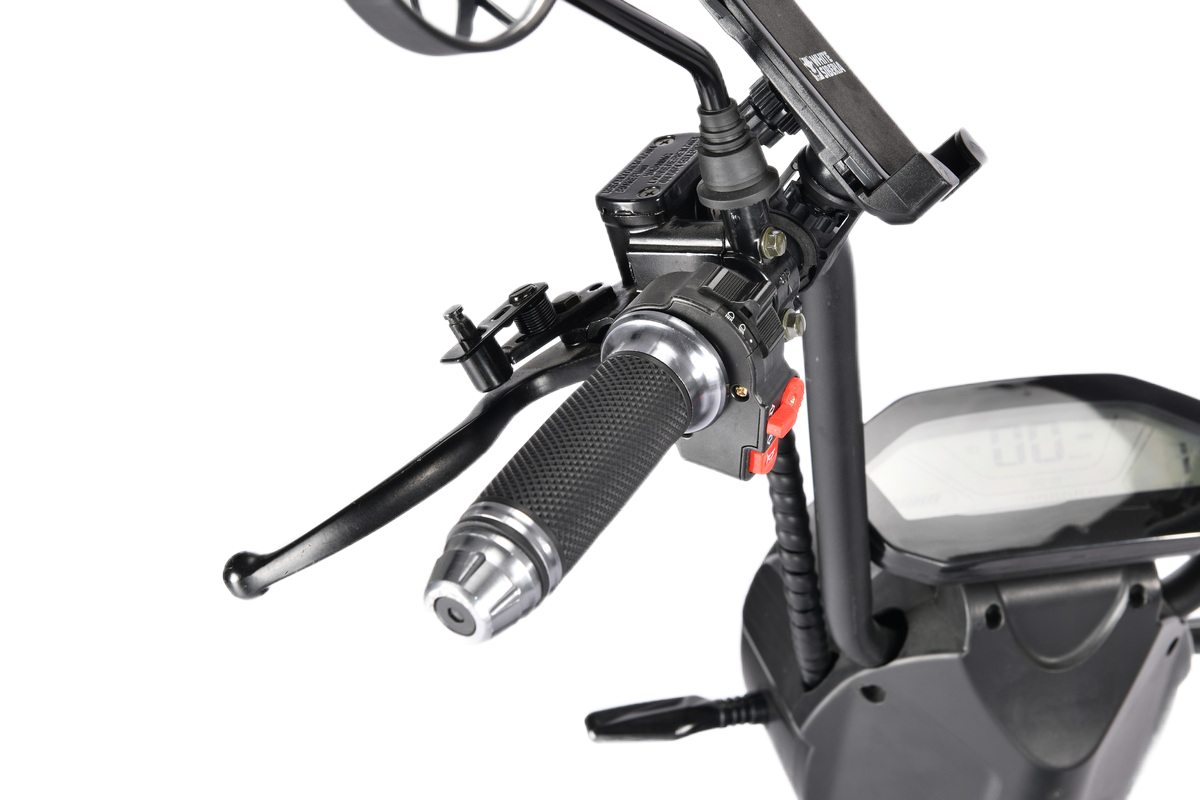 CityCoco WS-trike mini 1500W