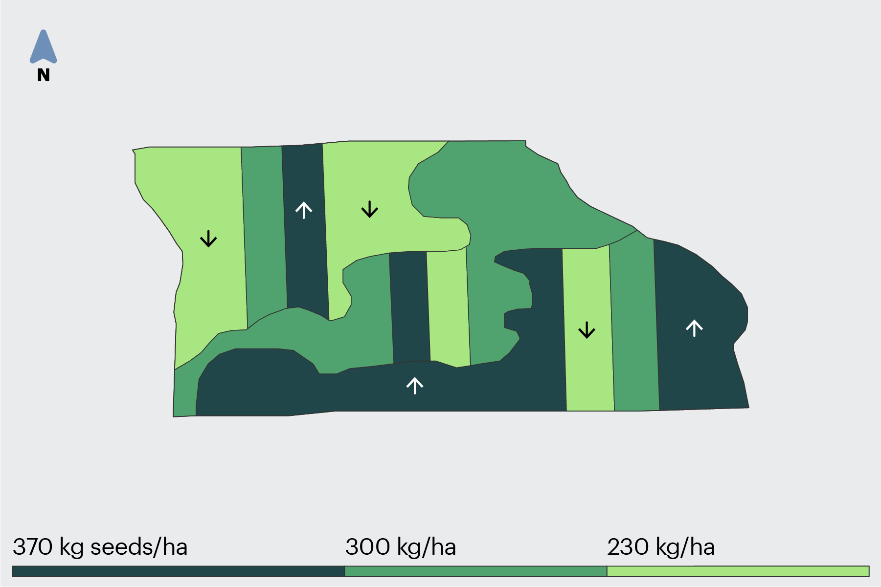 Guide to Pea Field Variable-Rate Seeding Experiment with Results