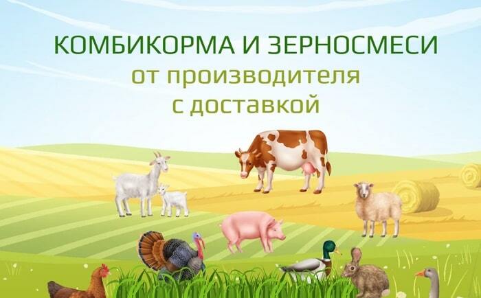 КормСнаб.рф - корма для всех видов с/х животных