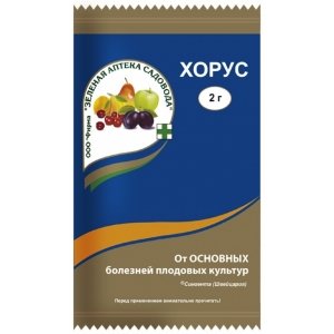 Хорус купить в Москве | Питомник деревьев Green Space