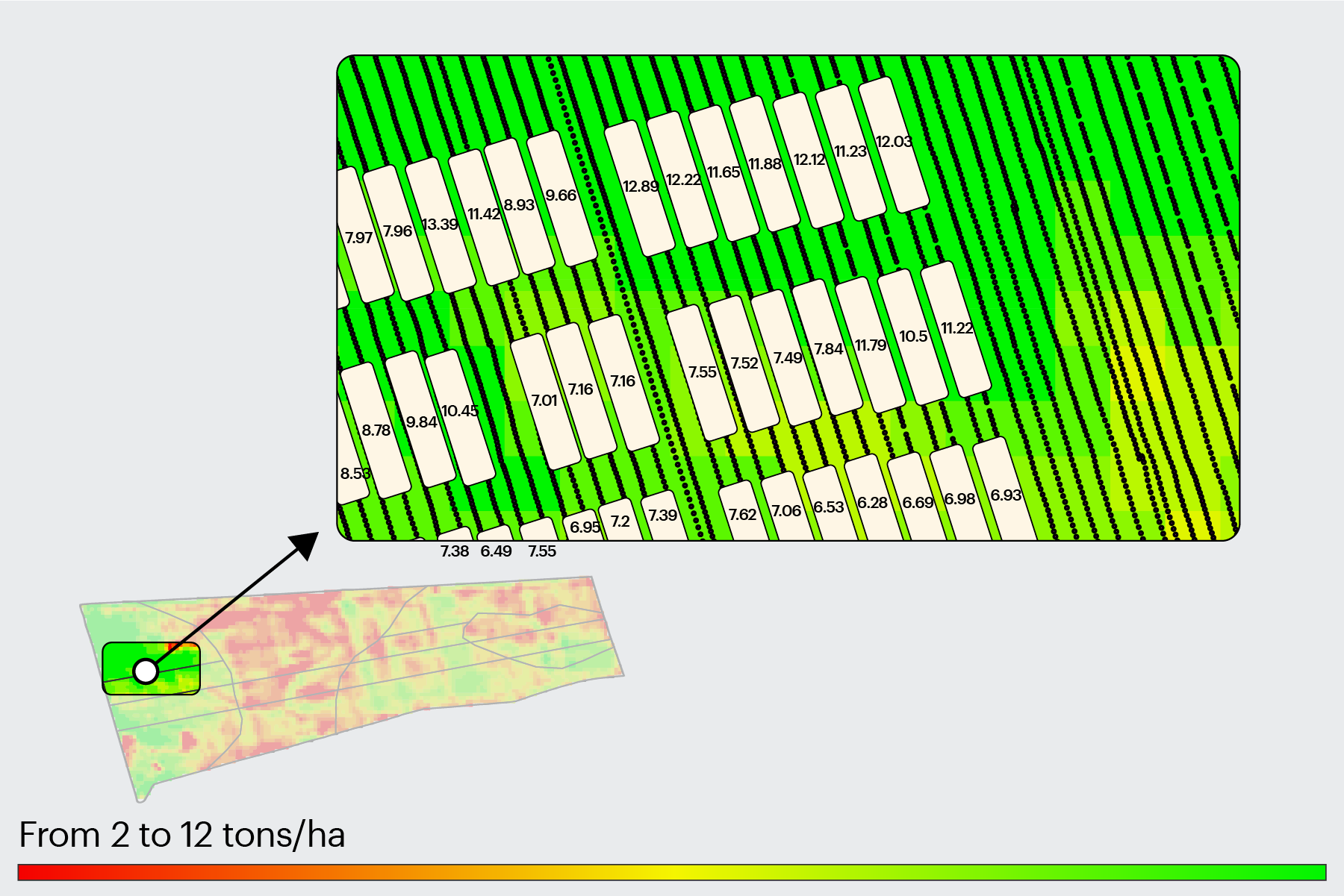 5 Corn Hybrids Performance Results: Variable-Rate Seeding Test